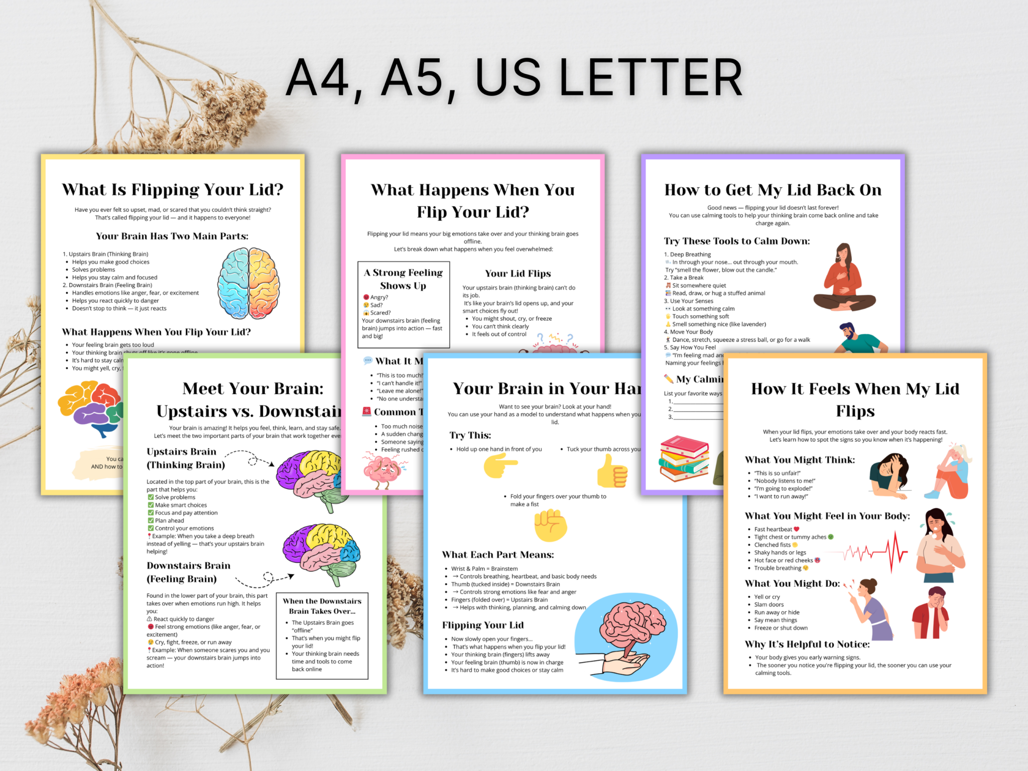 Flipping Your Lid Worksheet